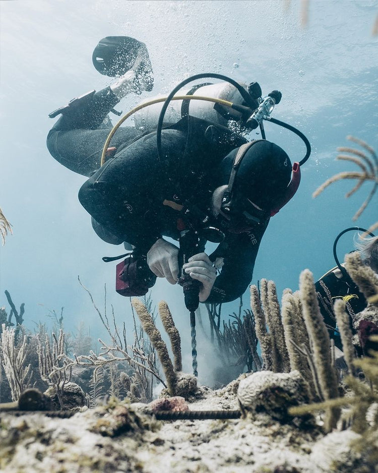 Nemo power tools - underwater cordless power tools – Salt Life Marine